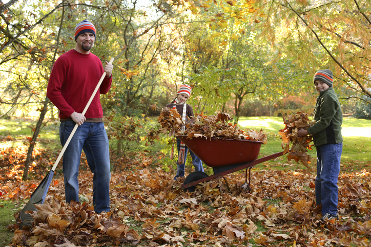 How To Stay Safe While Raking Leaves Health Advocate Blog