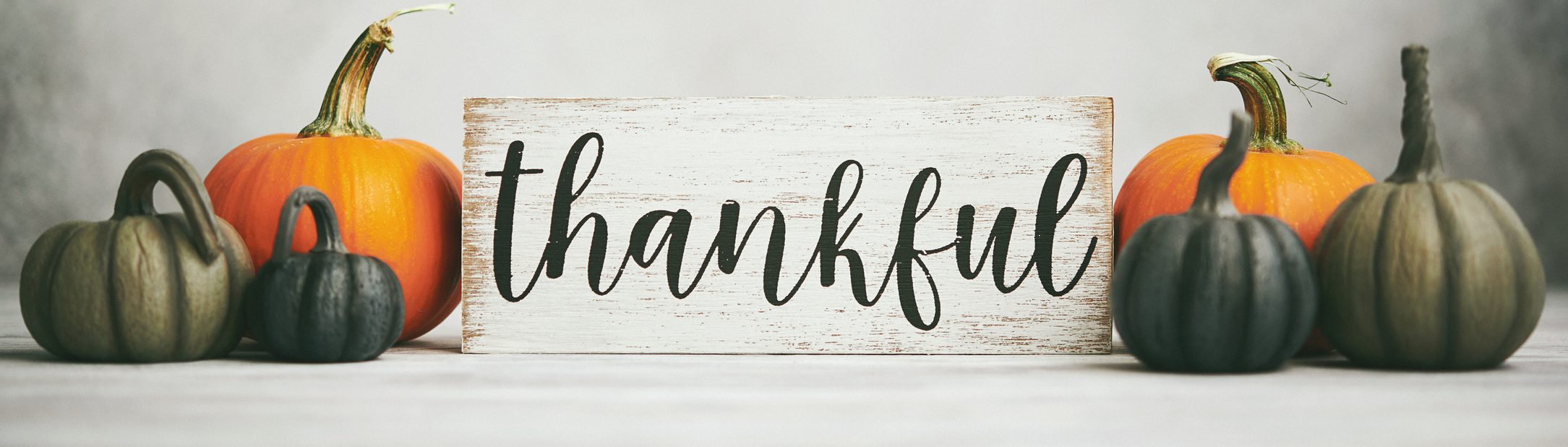 This Thanksgiving, cultivate an attitude of gratitude - Health Advocate ...
