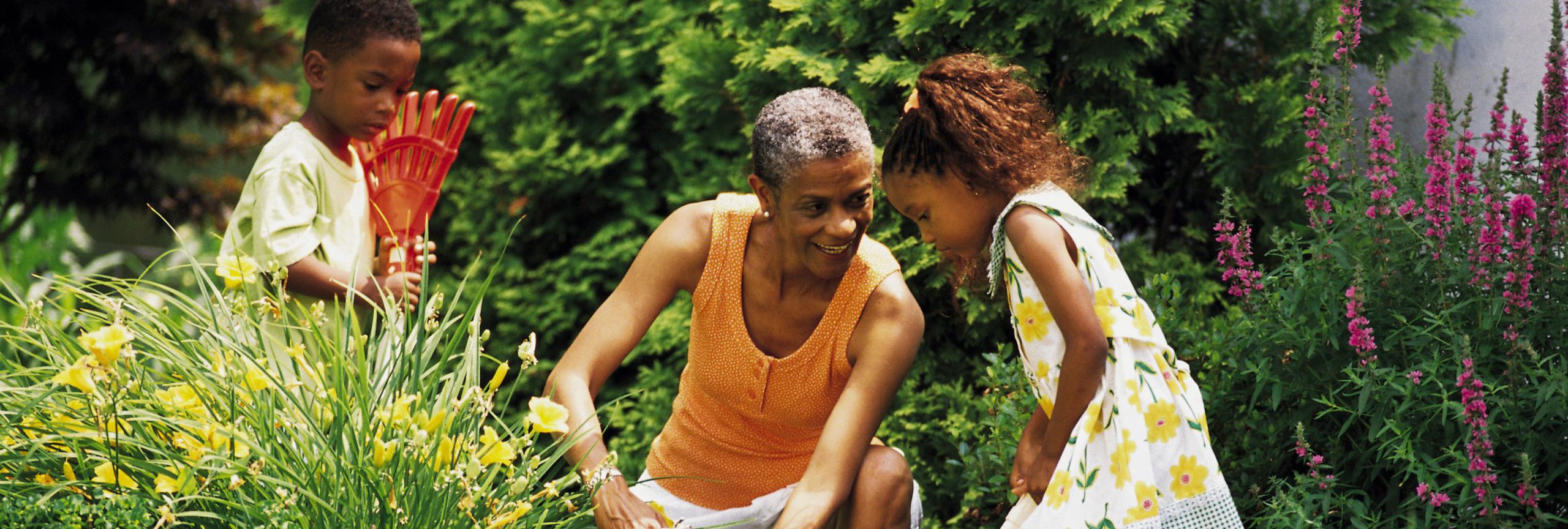 Getting started with a garden - Health Advocate Blog