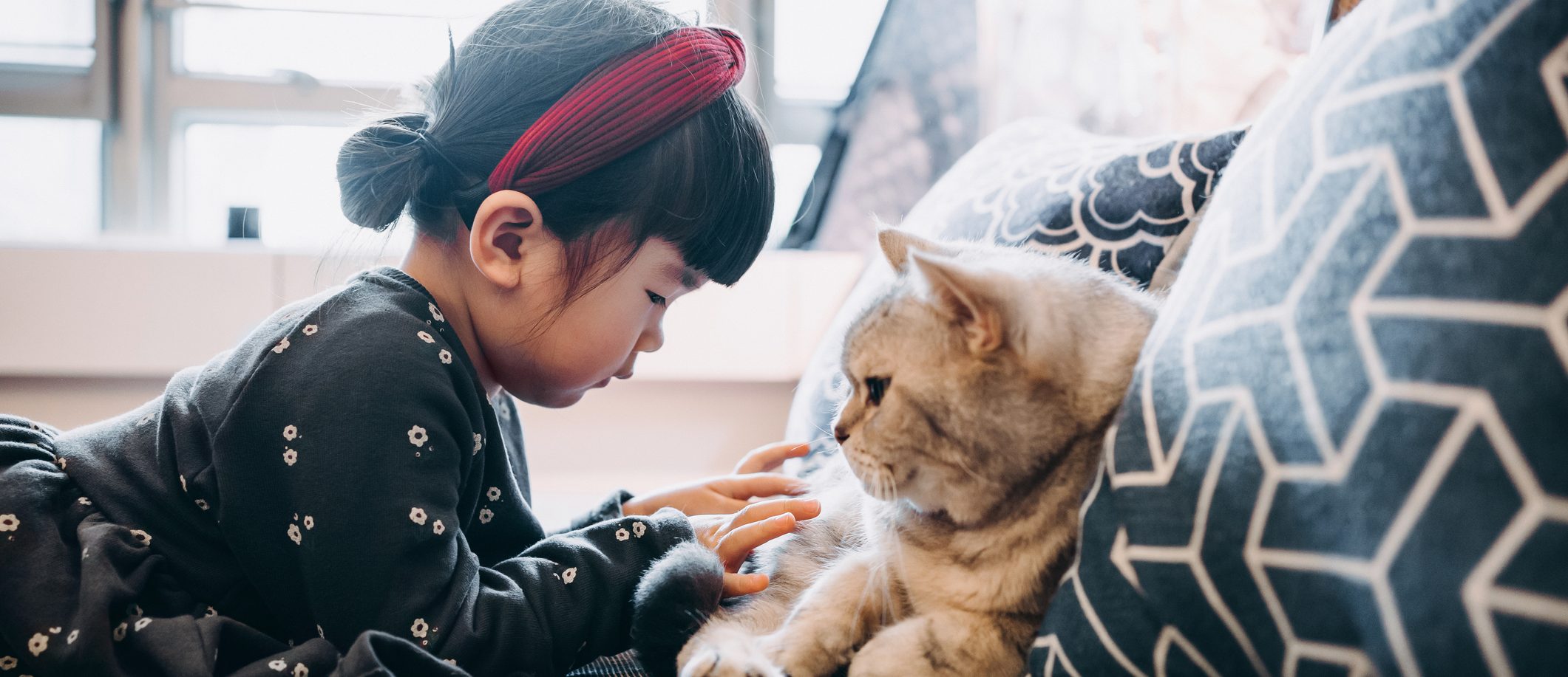 The health benefits of having pets - Health Advocate Blog