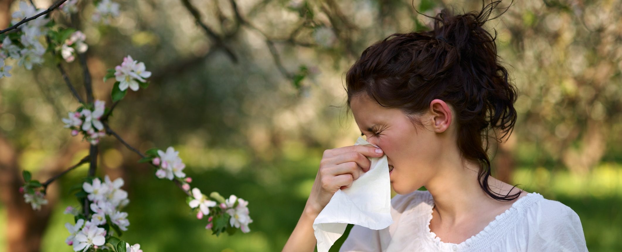 Take control of your seasonal allergies - Health Advocate Blog